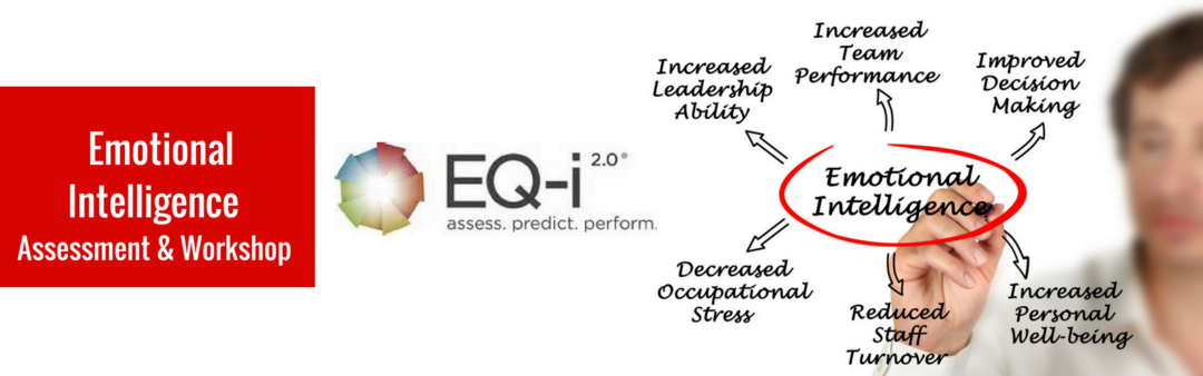 EQ-i 2.0 Emotional Intelligence Training | Shockingly Different Leadership