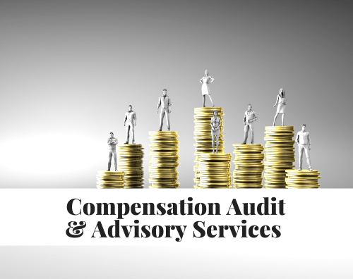 Compensation Audit and Advisory Services